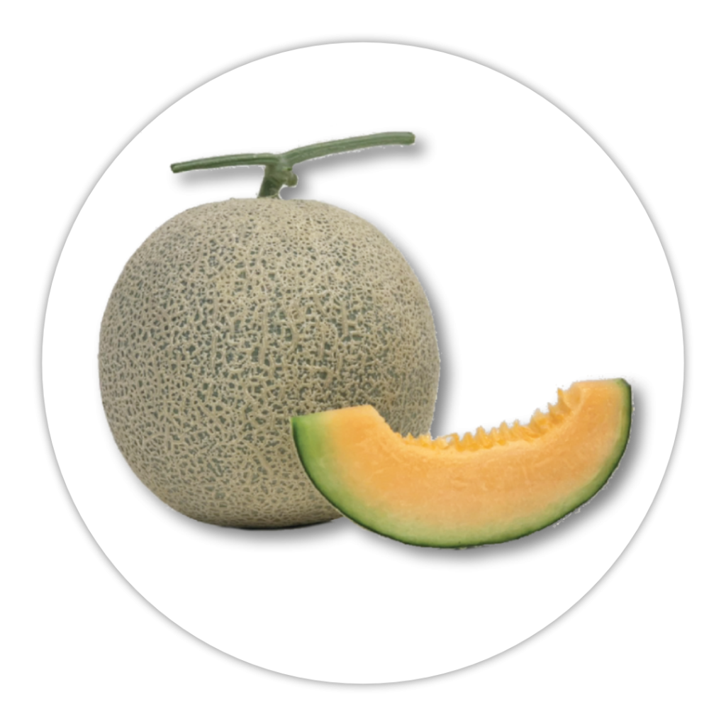 Premium Japanese Melon | Ganicco Farm