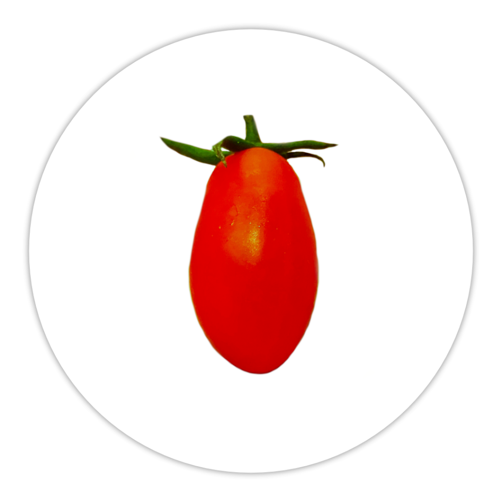 Solarino Tomato Ganicco Farm